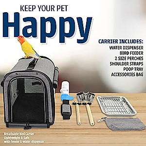 KNUTI - Premium Small Pet Bird Carrier Cage - Portable Travel Cage for Parakeets, Lovebirds, Finch, and Canaries - Airlines Airplane Plane Approved