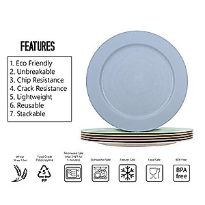 10 Inch Wheat Straw Flat Plastic Plates Set (6 Dinner Plates) - Dishwasher & Microwave Safe - Unbreakable Reusable Lightweight Eco Friendly & BPA Free Dinnerware - Dishes for Kids Toddlers & Adults