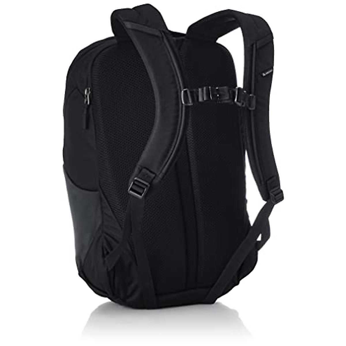 Gregory Mountain Products Resin 25 Everyday Outdoor Backpack,Obsidian Black,One Size