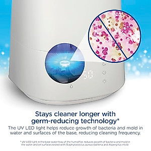 Clorox Ultra Clean Cool Mist Air Humidifier for BedRoom with UV LED Light to Reduce Germs and Bacteria, Whisper Quiet, 4L Water Tank for up to 40 Hours of Continuous Steam, White (11080)