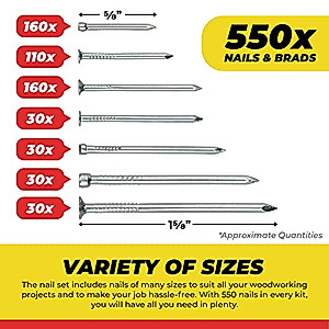 Qualihome Hardware Nail Assortment Kit, Includes Finish, Wire, Common, Brad and Picture Hanging Nails