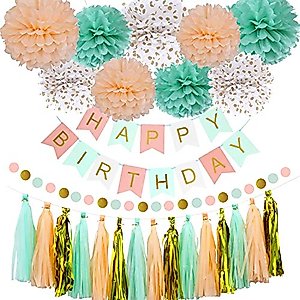 Mint Peach Birthday Party Decorations, Happy Birthday Decoration Set with Birthday Banner Pom Poms Circle Dot Garland and Tassel Garland for Women Grils Birthday Party Decor