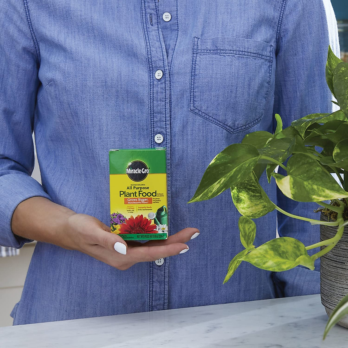 Miracle-Gro Water Soluble All Purpose Plant Food, Fertilizer for Indoor or Outdoor Flowers, Vegetables or Trees, 8 oz.