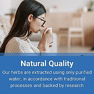 Treasure of the East, Jade Windscreen - Yu Ping Feng San (5:1 Concentrated Herbal Extract, 100 Capsules)