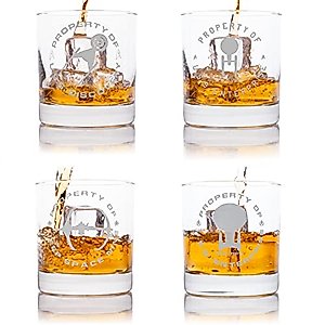 STAR TREK Property of Etched Whiskey Glass Set - Officially Licensed, Premium Quality, Handcrafted Glassware, 11oz Rocks Glasses - Perfect Collectible Gift for Series Lovers, Birthday & Special Events