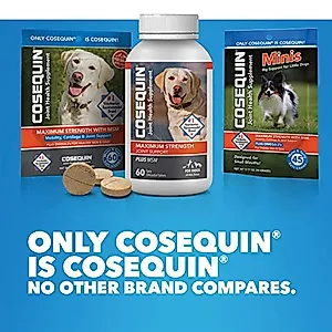 Nutramax Cosequin Joint Health Supplement for Dogs - With Glucosamine, Chondroitin, MSM, and Omega-3's, 60 Soft Chews