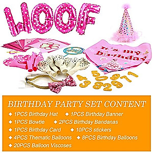 Dog Birthday Party Supplies - Dog Girl Birthday Bandanas Set with Dog Birthday Hat, Scarf, Birthday Banner, Balloons and Bowtie. Puppy Dog Pals Birthday Party Decorations.