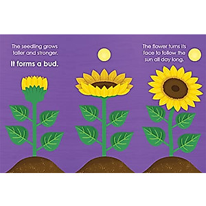 Montessori: Seed Work