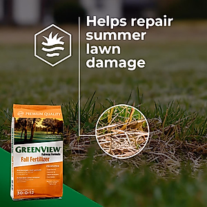 Greenview Fairway Formula Fall Lawn Fertilizer - 22.5 lb. Bag - Covers 7,500 Sq. Ft.
