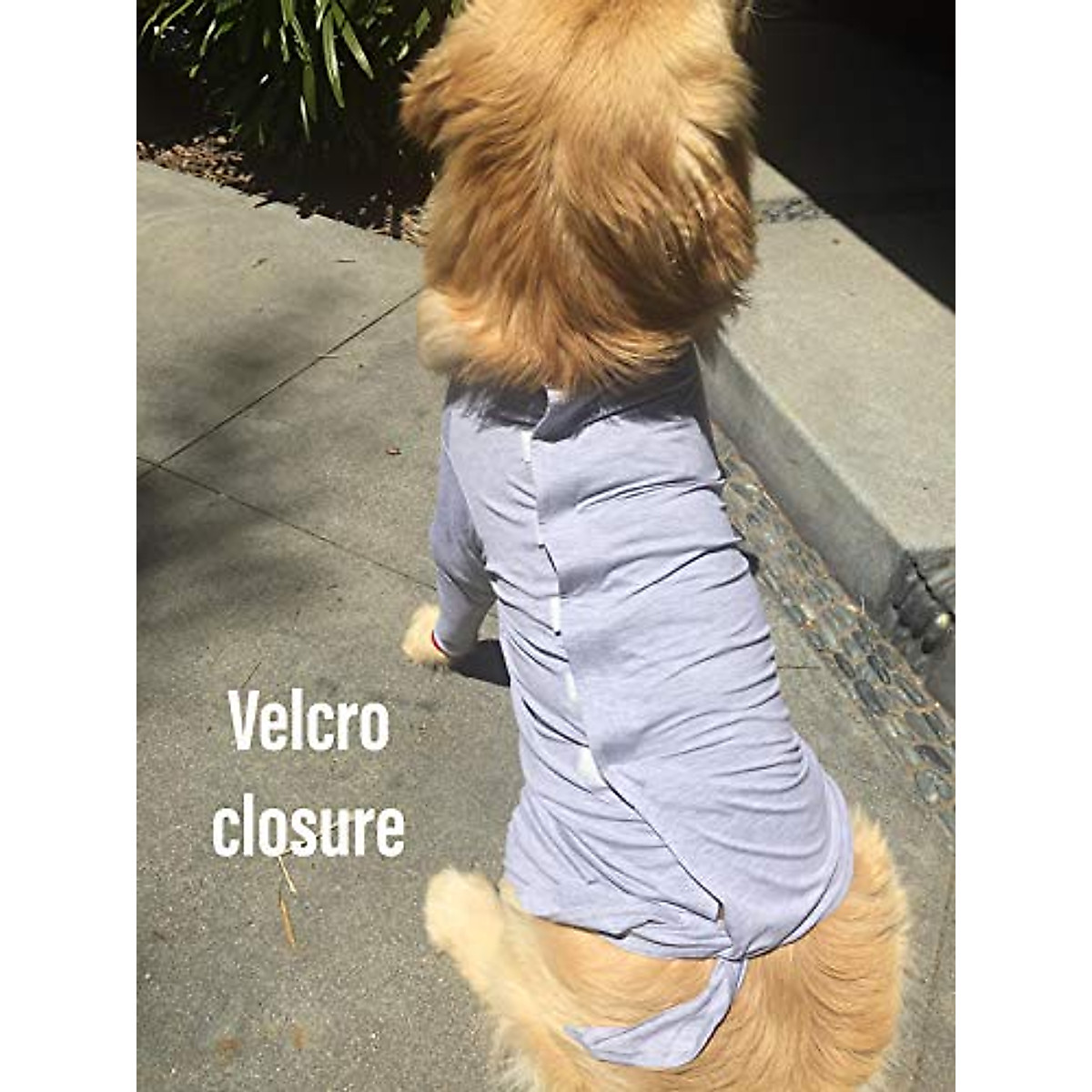 Short Sleeve Shirt for Dogs New! from POP FOR PETS (Large Red) - Better Than The Cone! POPforPETS Cotton Shirt for Larger Dogs. The Most Comfortable Alternative for Recovery!