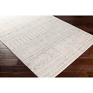 Livabliss Victor Bohemian Moroccan Area Rug,7'10" x 10'3",Gray