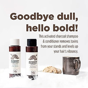 Soapbox Soap Shampoo, Vegan & Cruelty Free Hydrating Shampoo with Activated Charcoal, Color Safe, Paraben and Sulfate Free All Natural Hair Cleanser - Pack of 3,16 oz Bottles