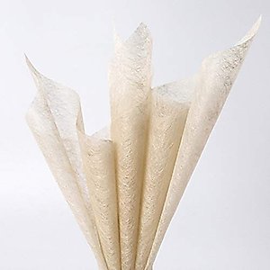 BBJ WRAPS Korean Wrapping Paper Gift Flower Wrapping Cotton Waterproof Bouquet Packaging Tissue Paper Florist Supplies 15 Sheets, 22.8 x 22.8 Inch (Champagne)