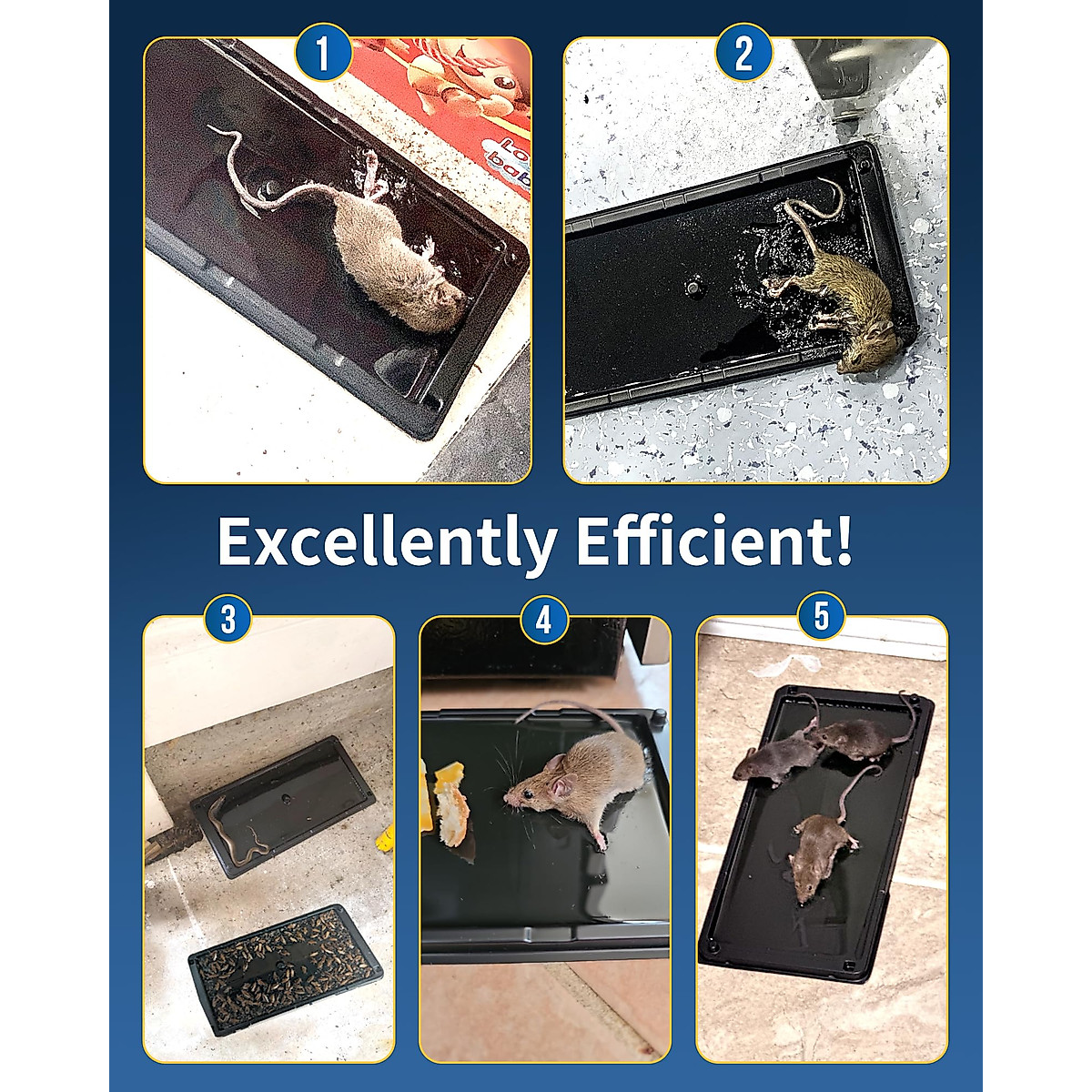 OSVDO Rat Trap, Large Chipmunk Traps, Mouse Glue Traps for Indoor, Super Strong Adhesive Mouse Boards for Mouse Rat Chipmunk, Easy Set Up and Clean - 4 Pack Black Boards