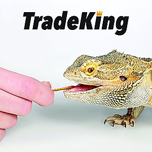 TradeKing 5 lb Dried Mealworms - High Protein Treat for Wild Birds, Chicken, Fish & Reptiles