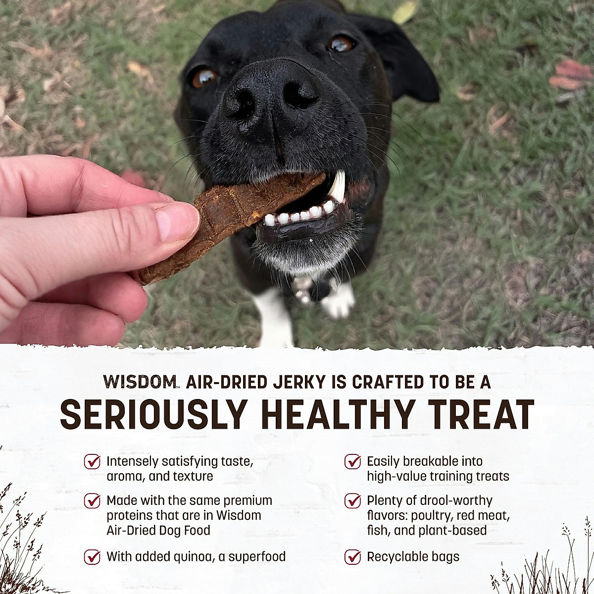 Earth Animal Wisdom Air-Dried Jerky from The Land Recipe | Dog Treats | Dog Snacks | Premium Natural Red Meat Jerky Strips | 4 oz | Made in The USA (Pack of 1)