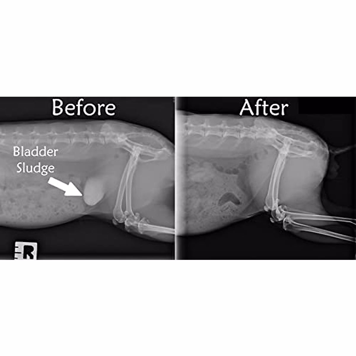 Adult Rabbit Food Timothy Hay Pellet 4.5 pounds. This Sherwood Pet Health hay-based formula is grain-free and soy-free for better digestion. Its also scientifically balanced for better urinary health.