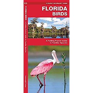 Florida Birds: A Folding Pocket Guide to Familiar Species (Nature Observation North America)