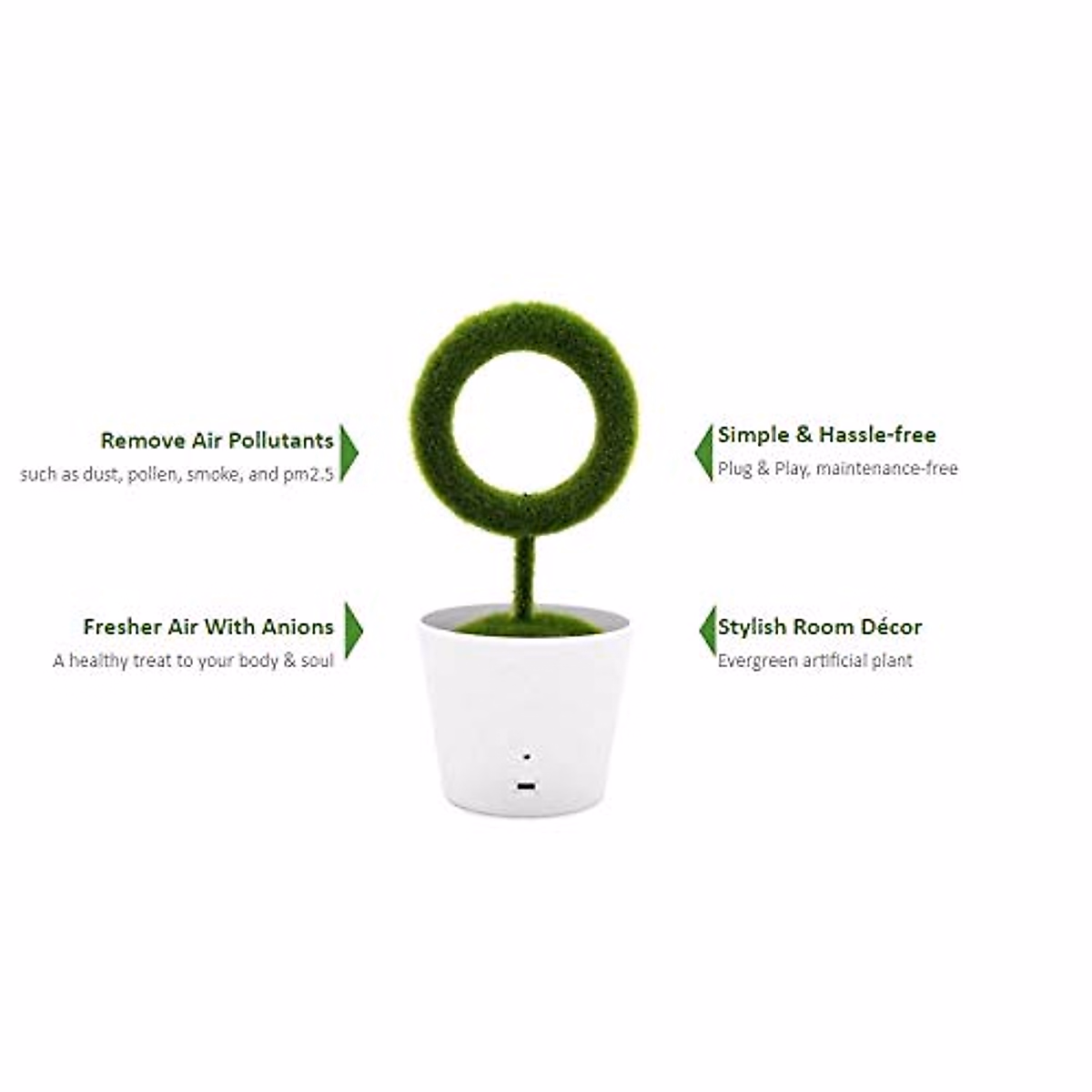 Rockwood Plant Air Purifier