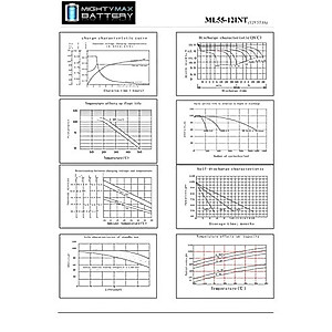 Mighty Max Battery 12V 55AH Internal Thread Battery Replaces Toro LX420 Lawn and Garden