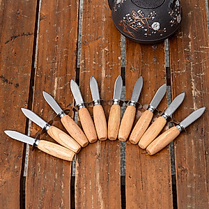 MGTECH 10 Pcs Oyster Shucking Knives, Bulk Oyster Shucker Clam Opener