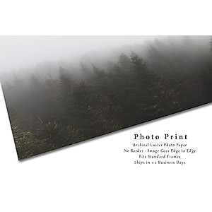 Forest Photography Print (Not Framed) Picture of Treetops Shrouded in Fog on Foggy Day at Clingmans Dome North Carolina Tennessee Ethereal Wall Art Great Smoky Mountains Decor (4" x 6")