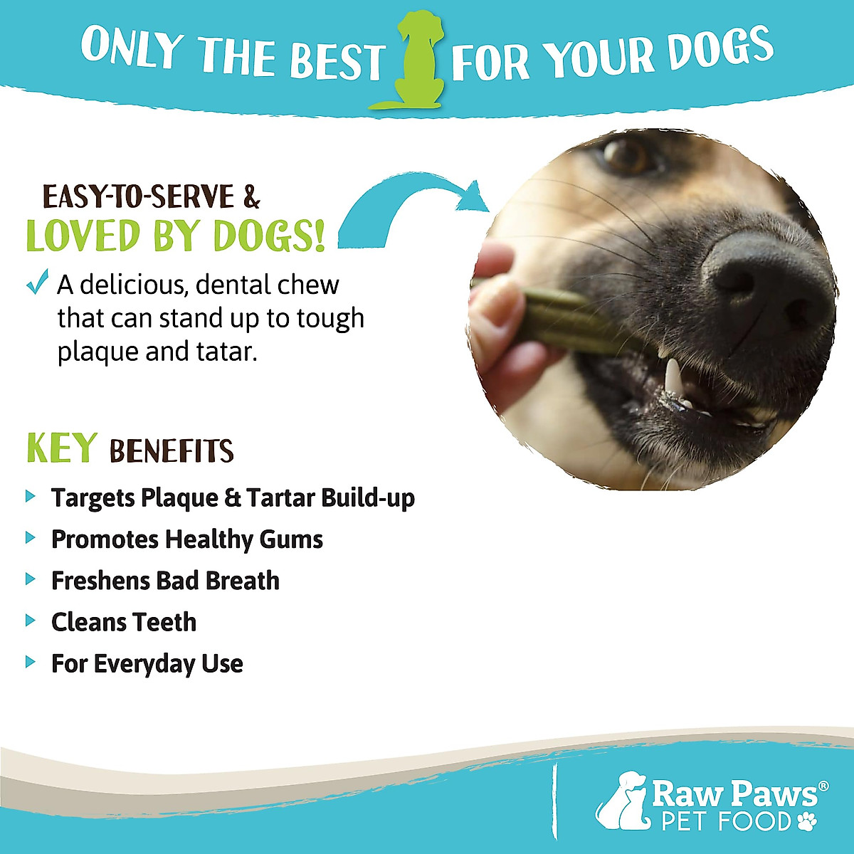 Raw Paws Dental Chews for Dogs, Medium Size, Mint Flavor, 26-oz. 29 Ct. - Made in USA - Freshen Breath & Fight Plaque & Tartar - Dog Teeth Cleaning Treat - Dog Breath Treats - Dental Sticks for Dogs