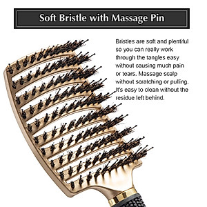 FIXBODY Boar Bristle Hair Brush - Curved & Vented & Oversize Design Detangling Hair Brush for Women Long, Thick, Curly and Tangled Hair Blow Drying Brush (Gold)