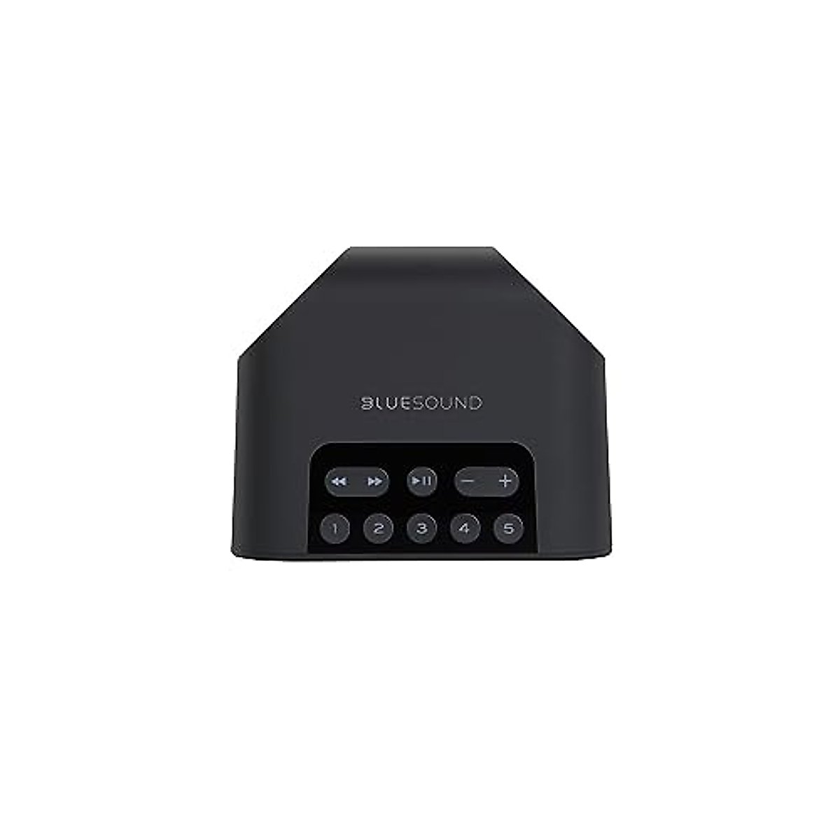 Bluesound Pulse Flex 2i Portable Wireless Multi-Room Smart Speaker with Bluetooth - Black - Compatible with Alexa and Siri