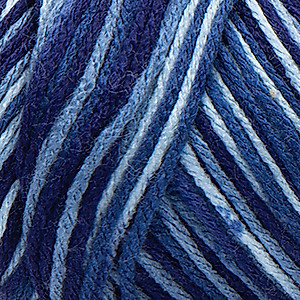 Bulk Buy: Red Heart Super Saver (2-Pack) (Shaded Dusk, 5 oz Each Skein)