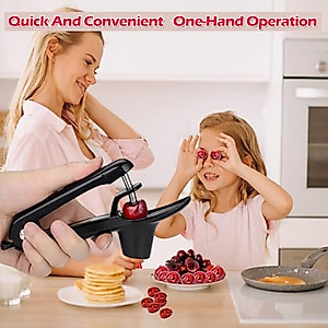 Cherry Pitter Tool - Heavy-Duty Stainless Steel Olive and Cherry Pitters Corer Tool with Space-Saving Lock Design, Multi-Function Cherries Stoner Seed Remover Tool for Making Cherry Jam (Black)