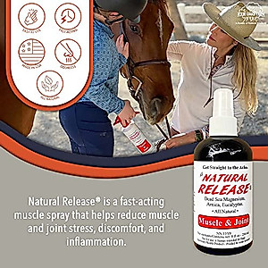 Four-Oaks Farm Ventures, Natural Release Muscle Spray Treatment - Horse Liniment for Sore Muscles, Joint Pain, Tendon & Inflammation Relief - Easy to Use, Fast Acting, Alcohol & Menthol Free (8 oz)