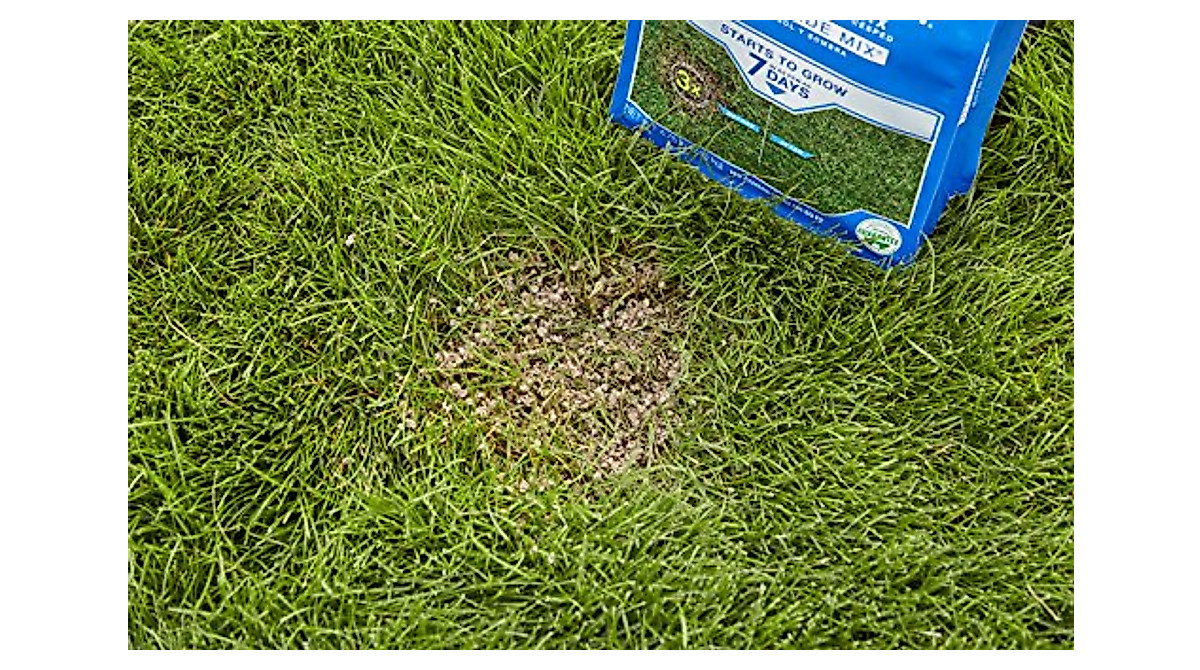 Scotts PatchMaster Lawn Repair Mix Sun + Shade Mix, Combination Grass ...