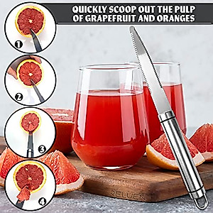 Reluen Stainless Steel Grapefruit Knife Curved Knife - Grapefruit Knife Curved Serrated Bread Knife Kitchen Knifes Small Knives Fruit Knife Stainless Steel Chef Kitchen Knife Curved Carving Tool