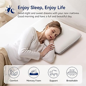 Amazon Basics HKSP01008F Plush Memory Foam Bed Mattress, Full, White/Grey, 75 x 54 x 8 inches