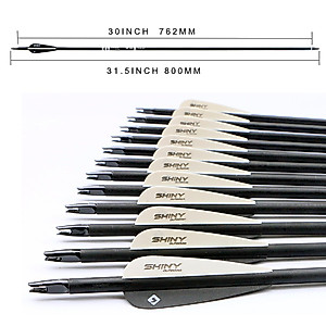 TIGER ARCHERY 30Inch Carbon Arrow Practice Hunting Arrows with Removable Tips for Compound & Recurve Bow(Pack of 12) (Black White)