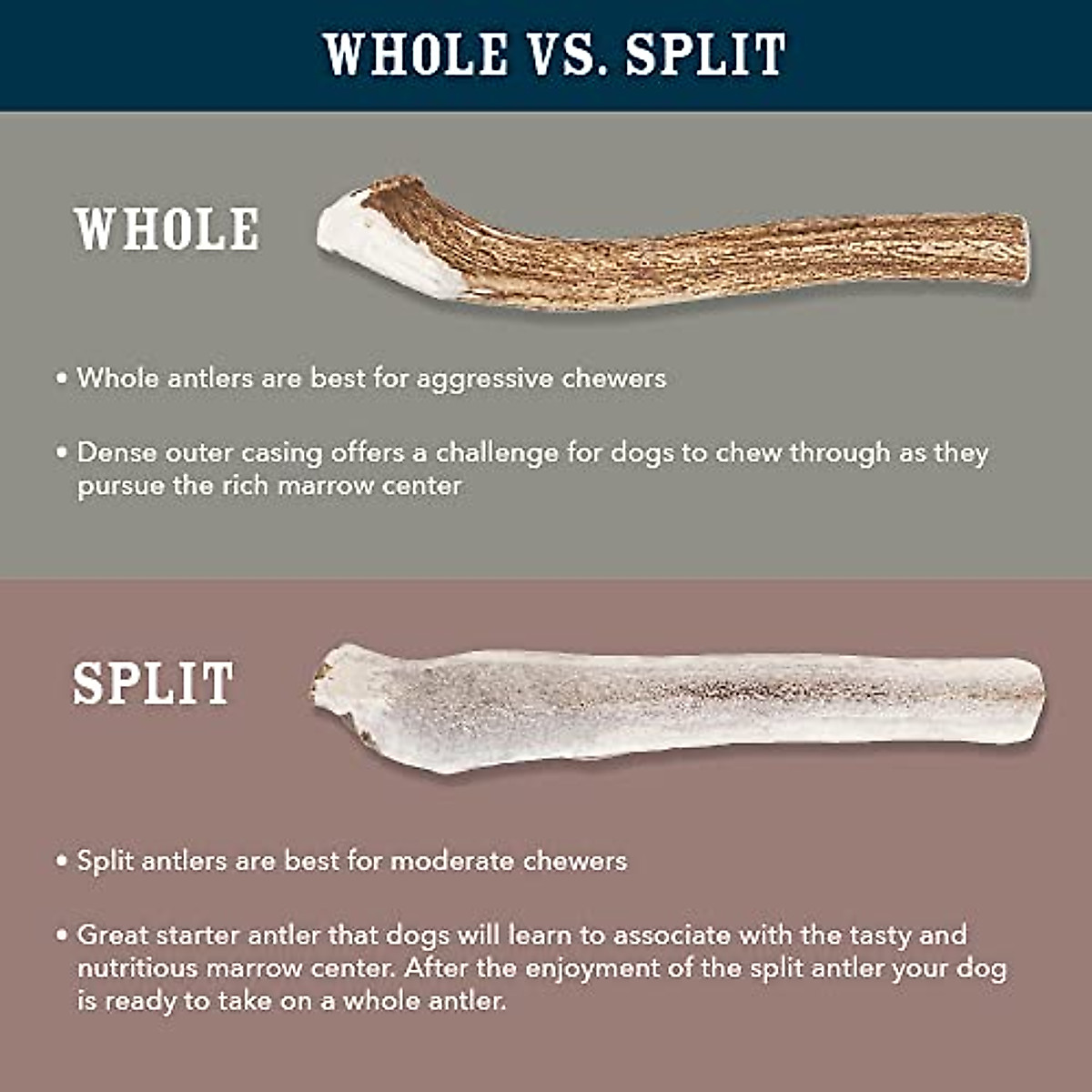 Amazon Brand - Wag Elk Antler - Whole - X-Large 9.5-10.5 inches (Best for Dogs over 45 lbs)