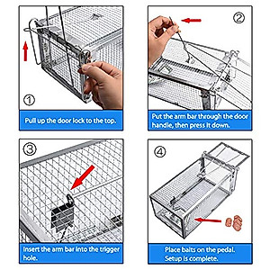 Gingbau Live Chipmunk Trap Humane Rat Mouse Cage Trap