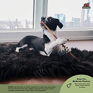 Redbarn 12" Bully Sticks for Dogs (Case of 35)