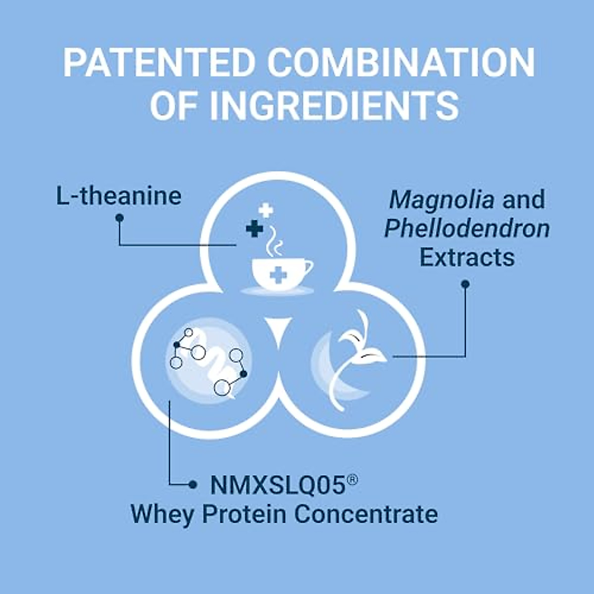 Nutramax Solliquin Calming Behavioral Health Supplement for Small to Medium Dogs and Cats - With L-Theanine, Magnolia / Phellodendron, and Whey Protein Concentrate, 75 Soft Chews