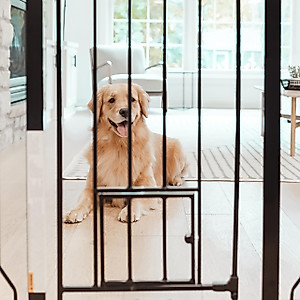 Carlson Extra Tall Walk Through Pet Gate with Small Pet Door, Includes 4-Inch Extension Kit, 4 Pack Pressure Mount Kit and 4 Pack Wall Mount Kit, Black