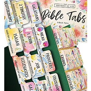 Bible Tabs Gold Floral - Soul Nourishing Book Summaries - 66 Peel-and-Stick SilkTouch Laminated Bible Tabs Large Print | Gold Bible Tabs for Women, Floral Bible Tabs for Study Bible, Bible Book Tabs