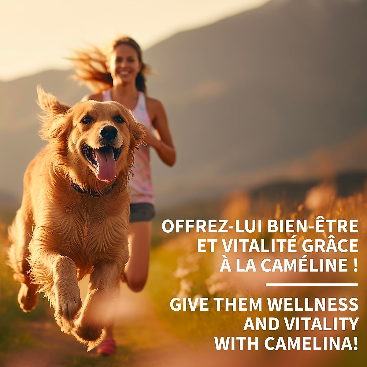 Camelina Oil for Dogs & Cats, 500mL by Olimega Farm | High in Omega-3 & Vitamin E | Support for Healthy Joints, Coat & Skin | Alternative to Salmon Oil for Dogs | Made in Canada | Non-GMO