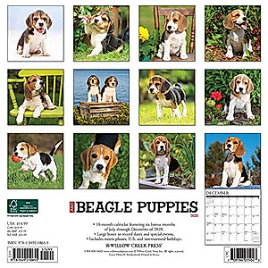 Just Beagle Puppies 2021 Wall Calendar (Dog Breed Calendar)