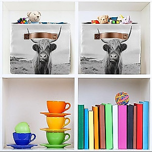 xigua Scottish Highland Cow Print Storage Bin Collapsible Canvas Storage Basket Closet Organizer with Handles for Bedroom Nursery Shelves Laundry Room, 1 Pack