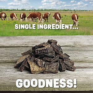 PUPDAWGS Hickory Smoked Flavor Beef Liver Treats, 1lb - All-Natural Dehydrated Dog Treats - Nutritious Training Treats for Dogs Made in USA