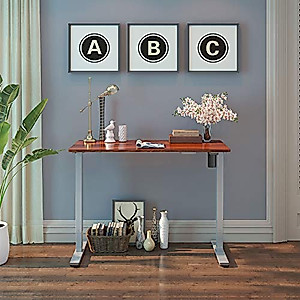 FLEXISPOT Standing Desk 48 x 24 Inches Electric Adjustable Desk Sit Stand Desk Home Office Desks with Splice Board (Silver Frame + Mahogany Top)