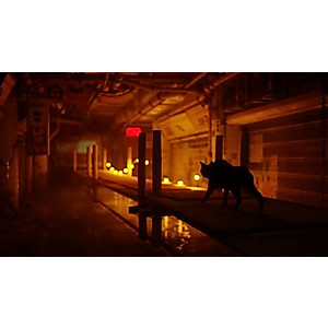 Stray - PlayStation 4