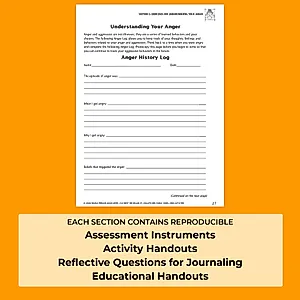 The Anger & Aggression Workbook - Reproducible Self-Assessments, Exercises & Educational Handouts (Mental Health & Life Skills Workbook Series)
