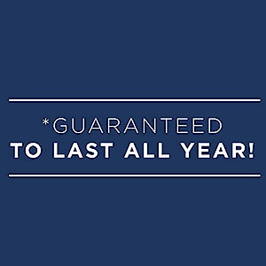 AT-A-GLANCE 2024 Weekly & Monthly Planner, QuickNotes, Open Scheduling, Monthly Tabs, 8" x 10", Large, Pockets, Black (76010524)